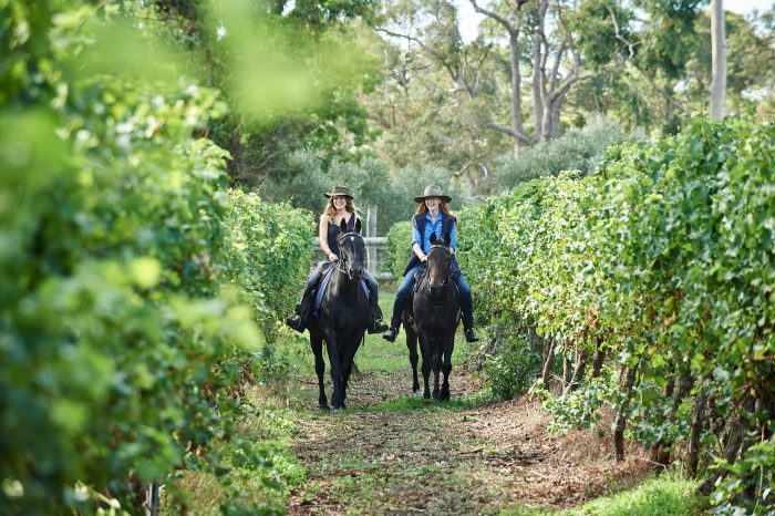 Where to take a horse riding adventure in South-West WA