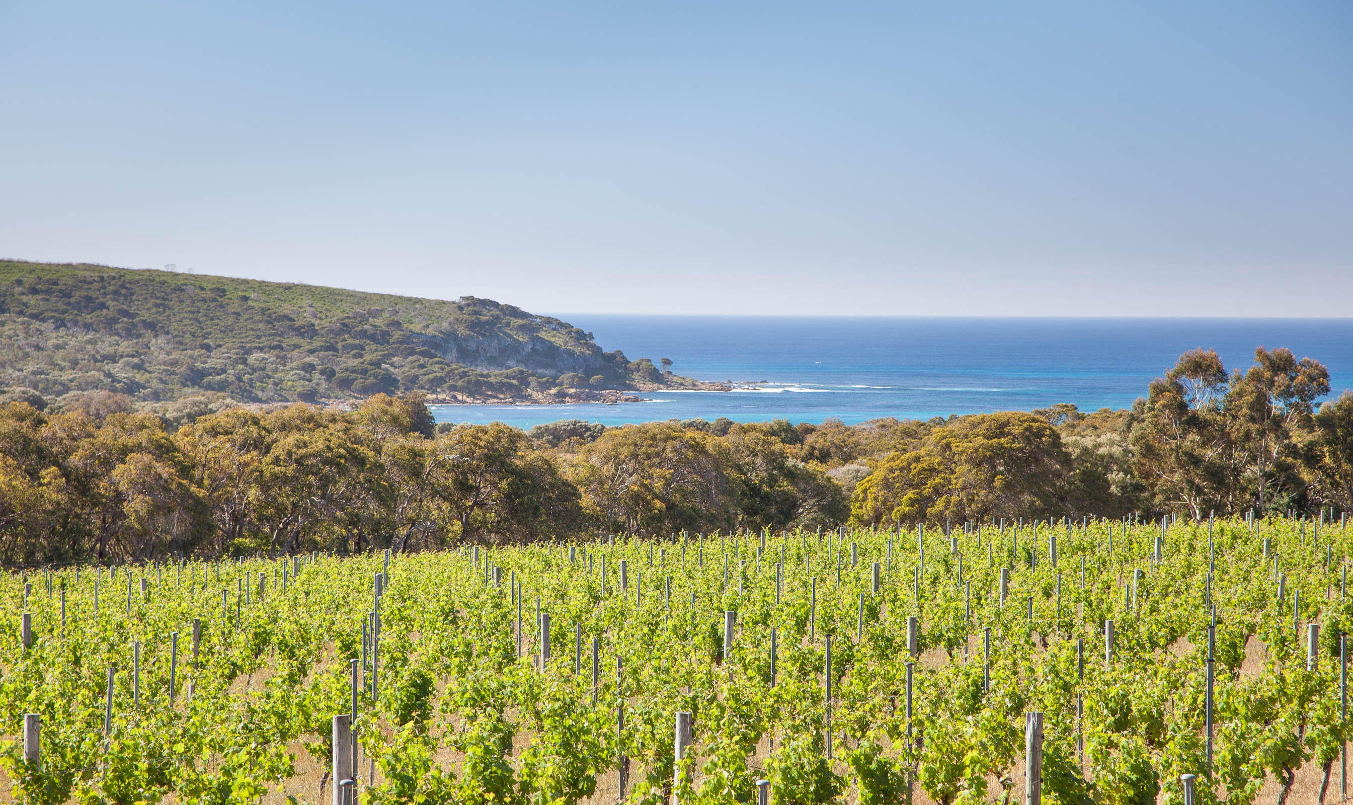 Farm Break East | Villas Bunker Bay | Private Properties