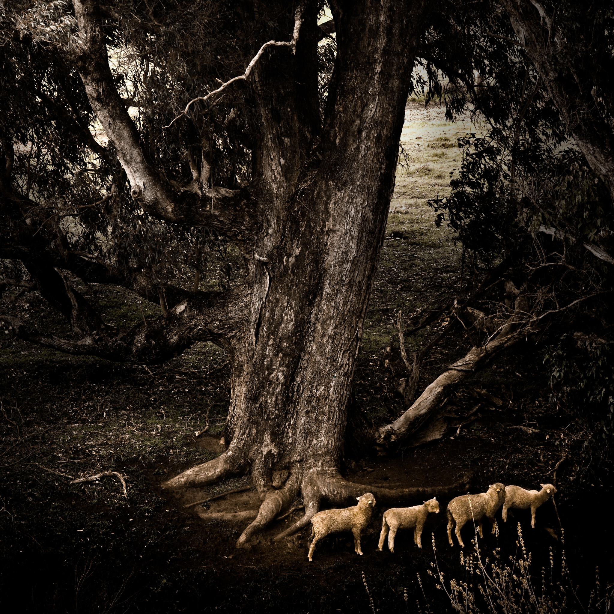 Meet the maker: photographer Christian Fletcher